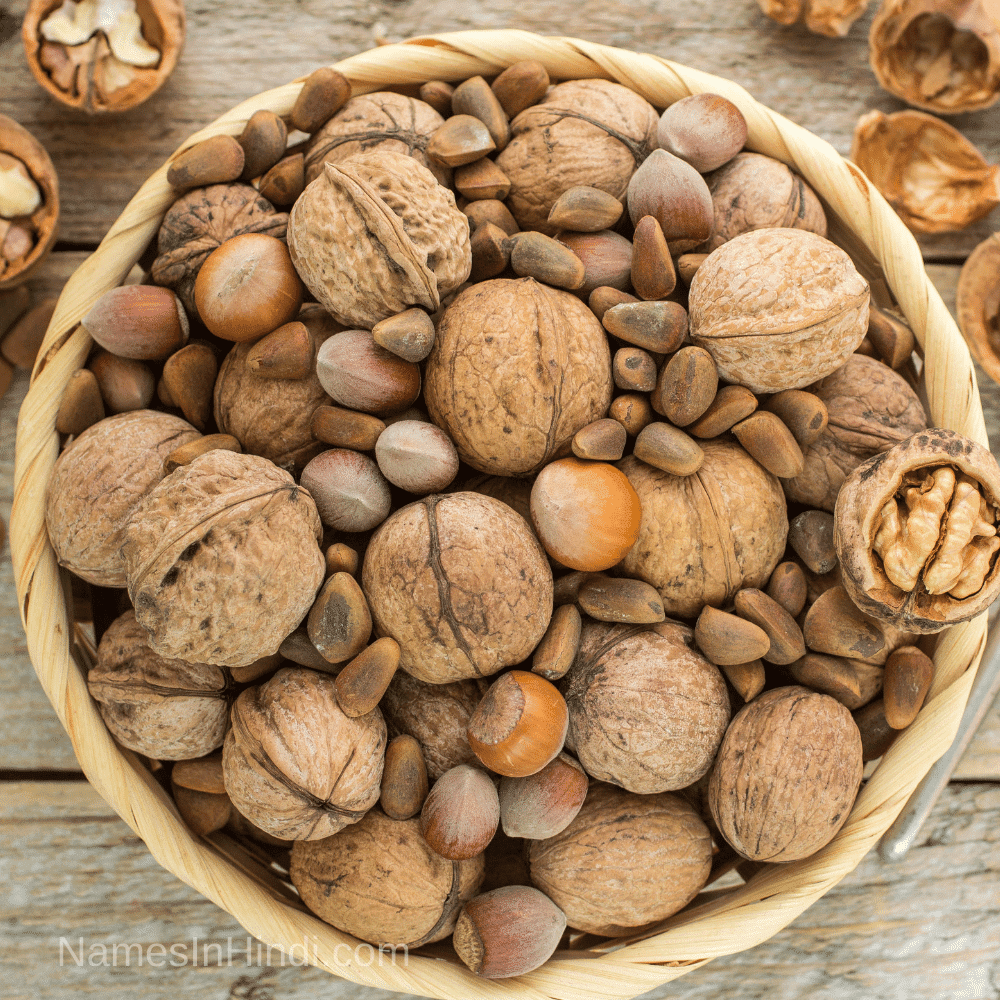 25+ Dry Fruits Names in Kannada | ಒಣ ಹಣ್ಣುಗಳು Unveiled
