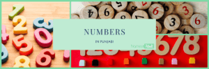 Learn 1 to 100 Numbers in Punjabi | Gurmukhi Guide